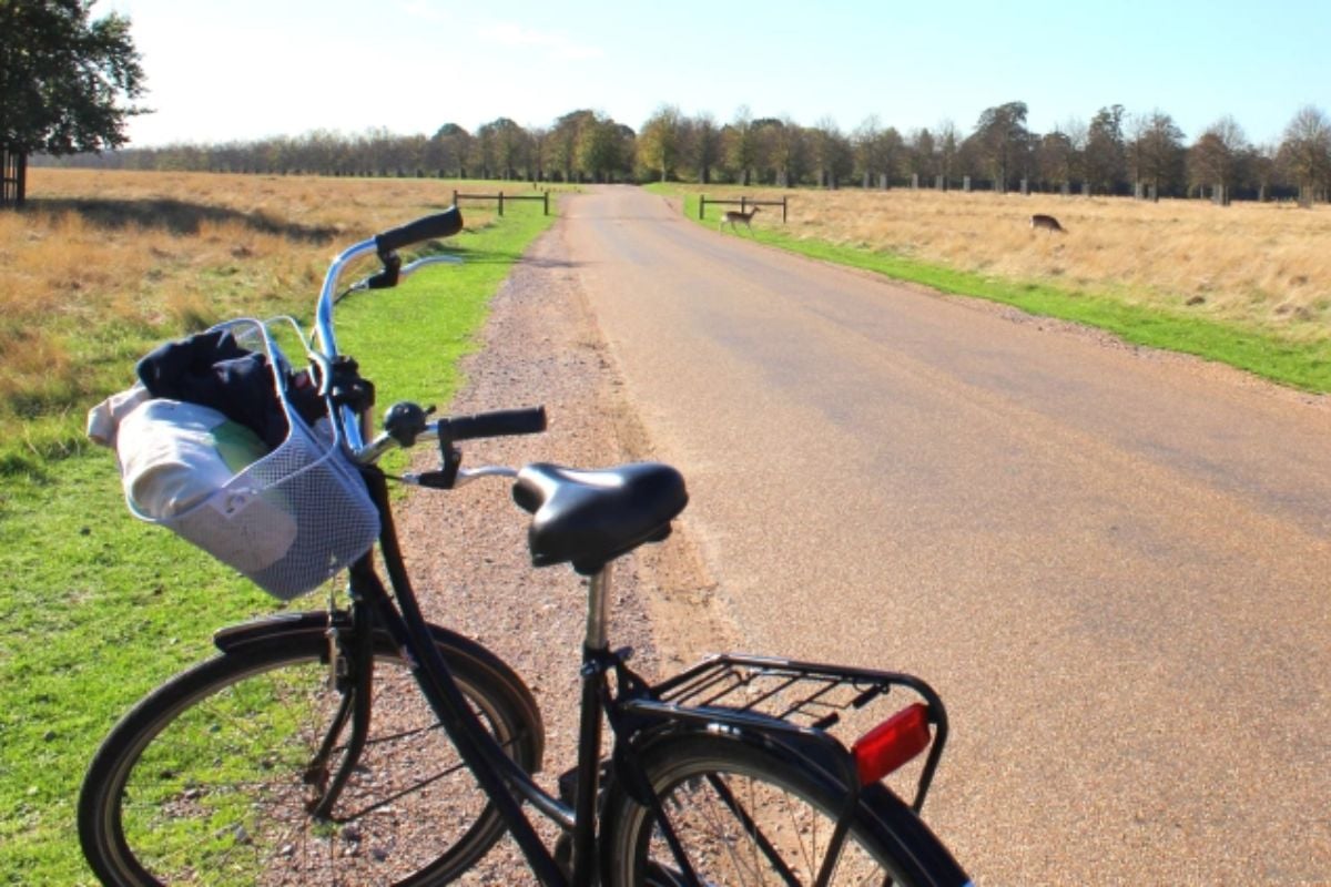 Enjoy a gentle 3 hour Bike Tour for Two of Hampton Court, Voucher