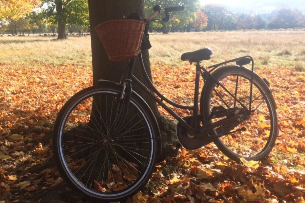 Book this three hour scenic Windsor Castle Bike Tour for Two